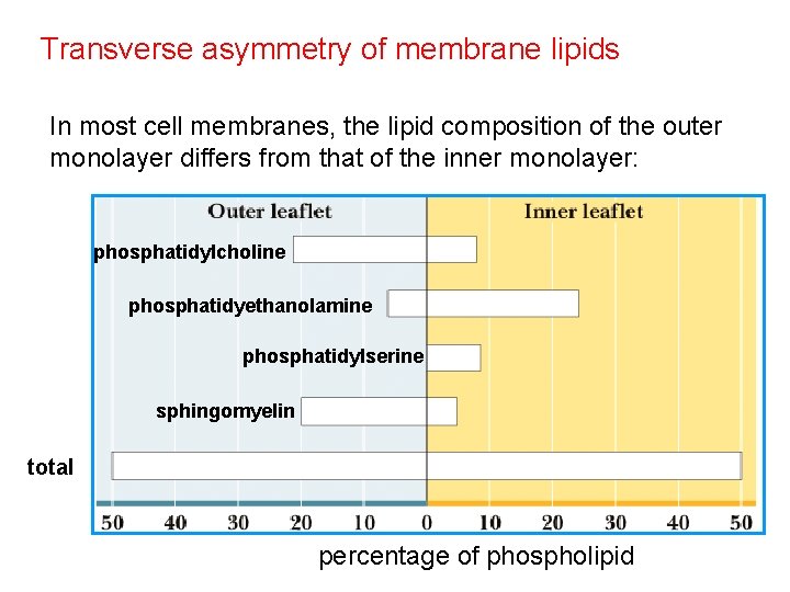 Membranes Structure of Membrane Proteins The Manifold Roles