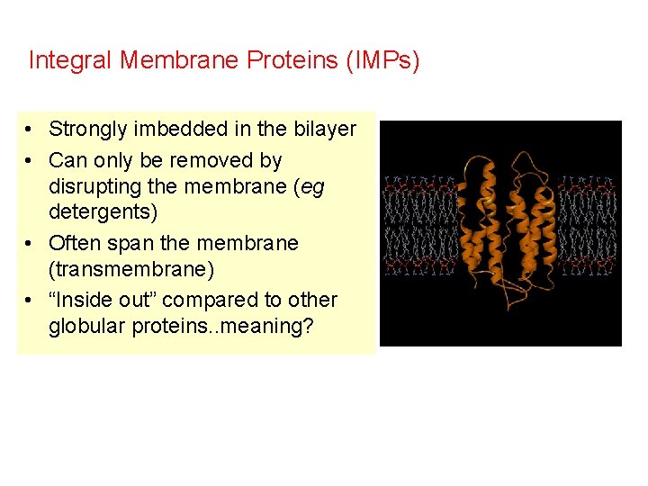 Membranes Structure of Membrane Proteins The Manifold Roles
