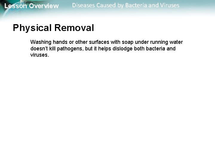 Lesson Overview Diseases Caused by Bacteria and Viruses