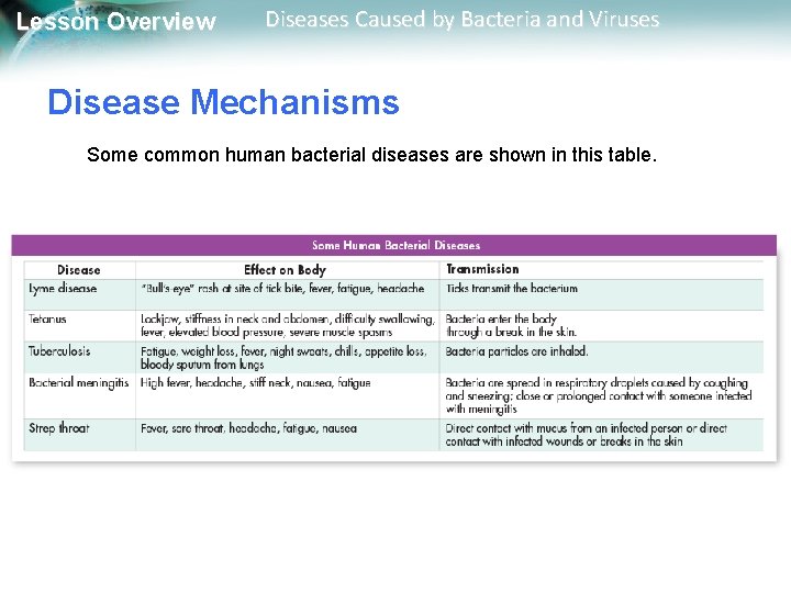 Lesson Overview Diseases Caused by Bacteria and Viruses