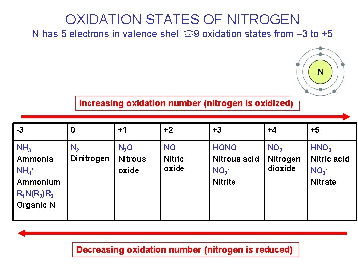 CHAPTER 6 BIOGEOCHEMICAL CYCLES THE EARTH ASSEMBLAGE OF