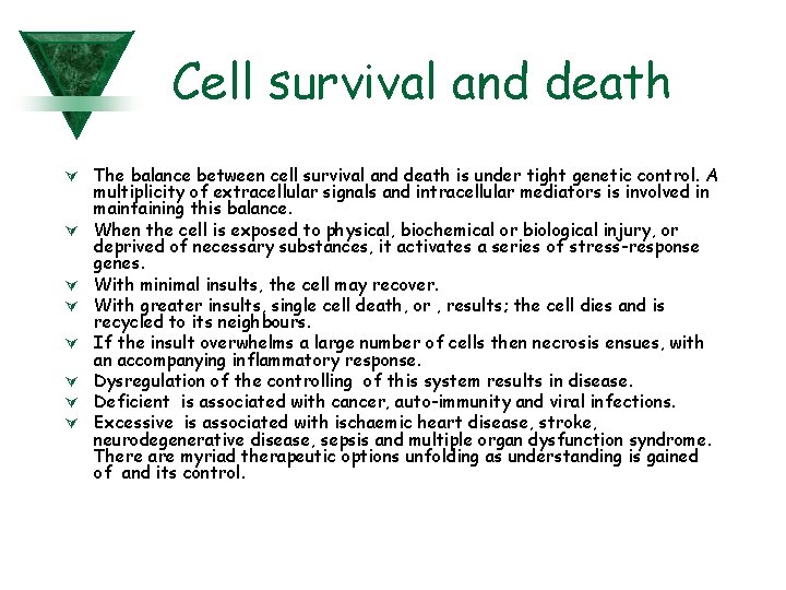 Cell injury necrosis and apoptosis Wound healing September