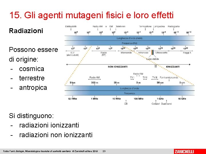 Fabio Fanti Biologia microbiologia e tecniche di controllo