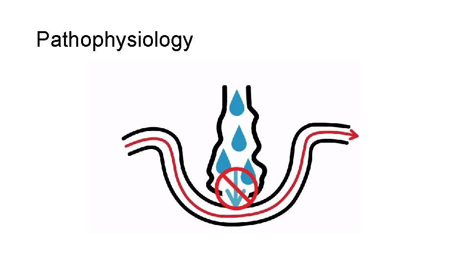 Advanced Respiratory Monitoring and Support in Critical Care