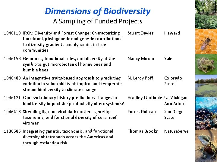 Dimensions of Biodiversity NASA Carbon Cycle Ecosystems Workshop
