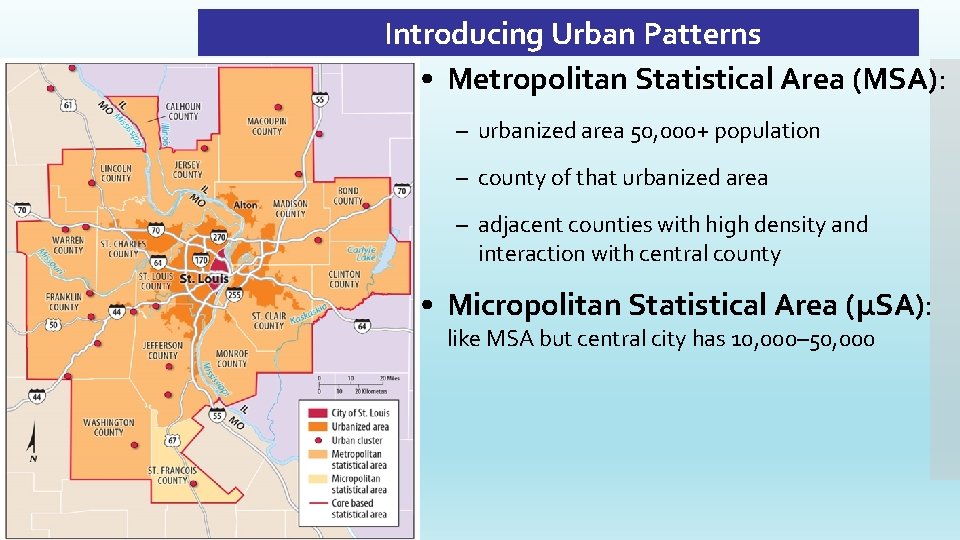 Types of Cities Vocab Review Specialization Regions focus
