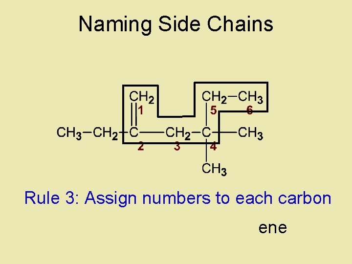 Naming Hydrocarbons nomenclature Basic Naming of Hydrocarbons Hydrocarbon