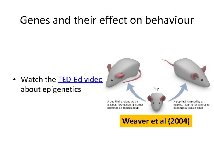 THE RELATIONSHIP BETWEEN GENETICS AND BEHAVIOUR IB Psychology