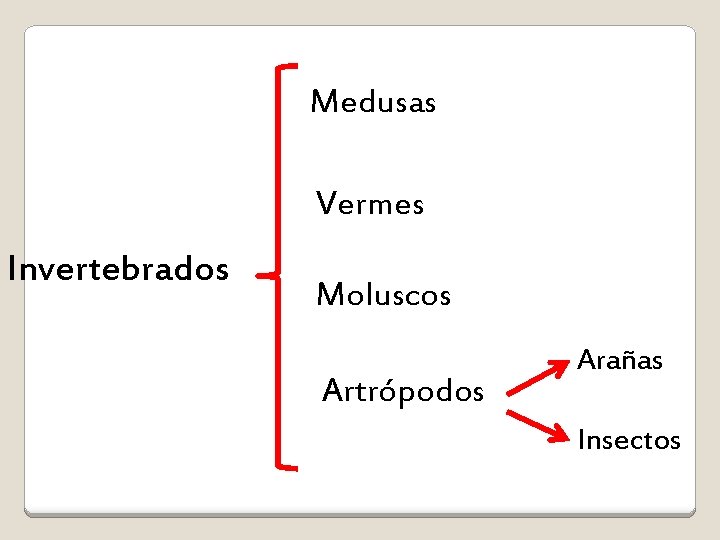 Os seres vivos Seres inertes Seres vivos Os