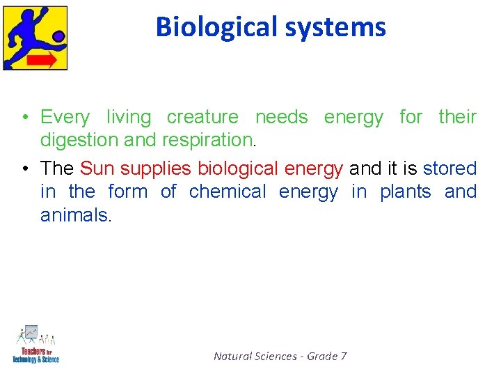 Natural Sciences Grade 7 Term 3 Energy and
