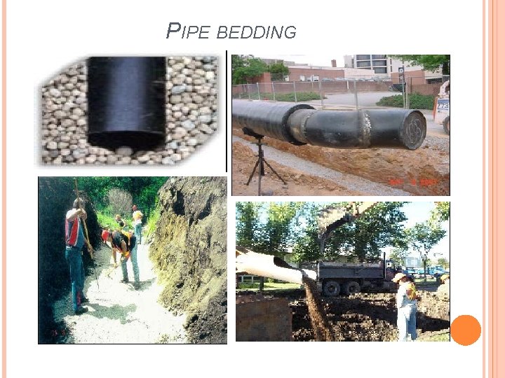 Hawassa University Faculty Of Technology School Of Biosystems