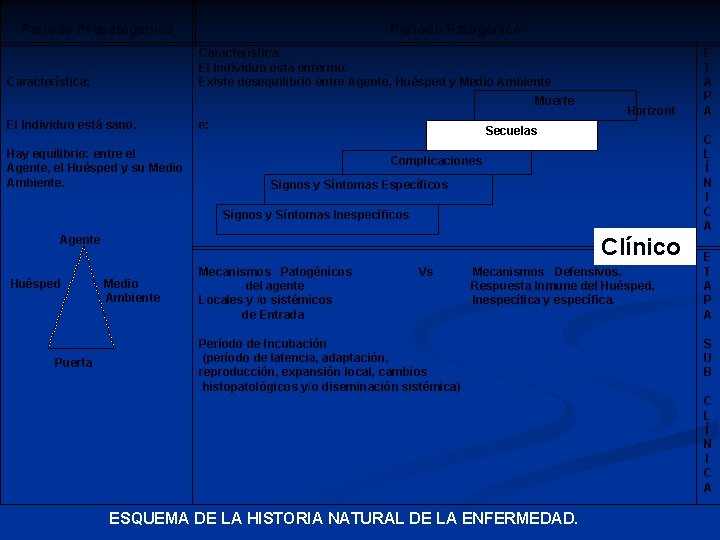 SALUD ETAPAS DE LA SALUD A LA ENFERMEDAD