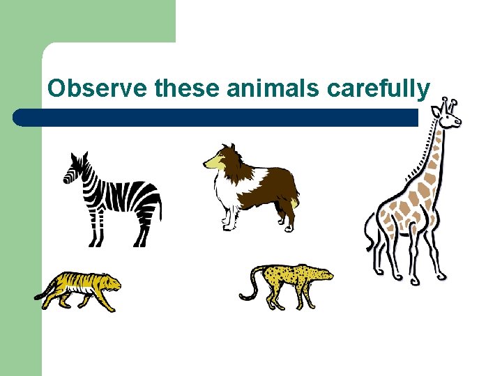 Ear To Ear Class IV Sub E V