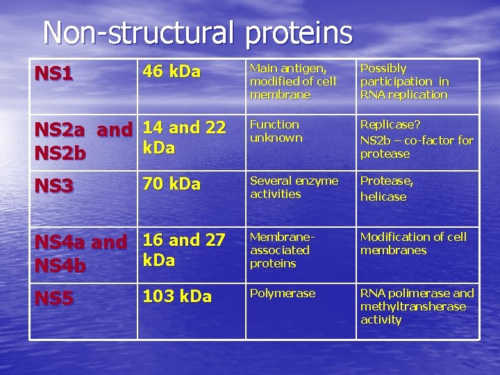 State Research Center of Virology and Biotechnology VECTOR