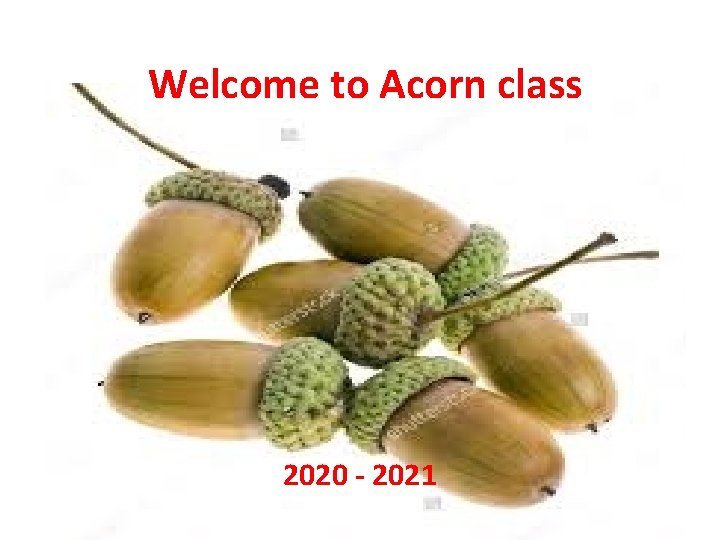 Welcome to Acorn class 2020 2021 When you