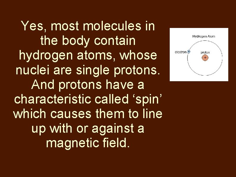 How MRI Works By Wesley Eastridge adapted from
