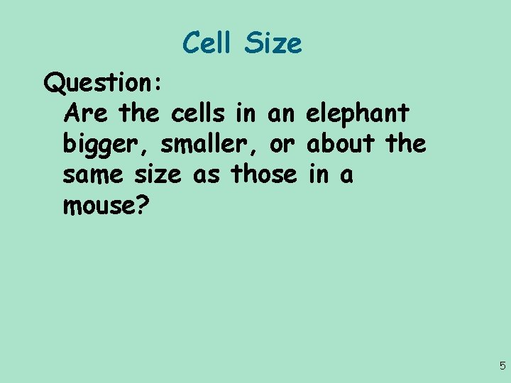 Basic Structure of a Cell copyright cmassengale 1