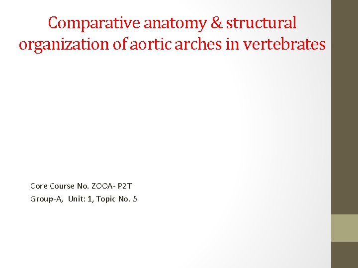 Comparative anatomy structural organization of aortic arches in