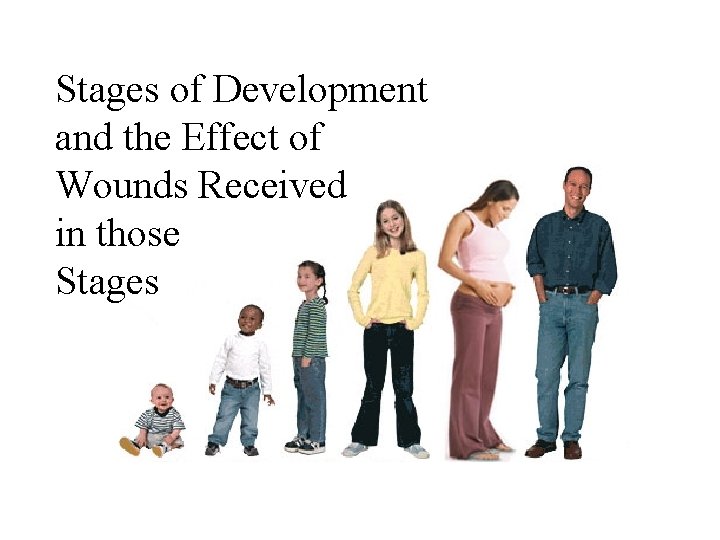 Stages of Development and the Effect of Wounds