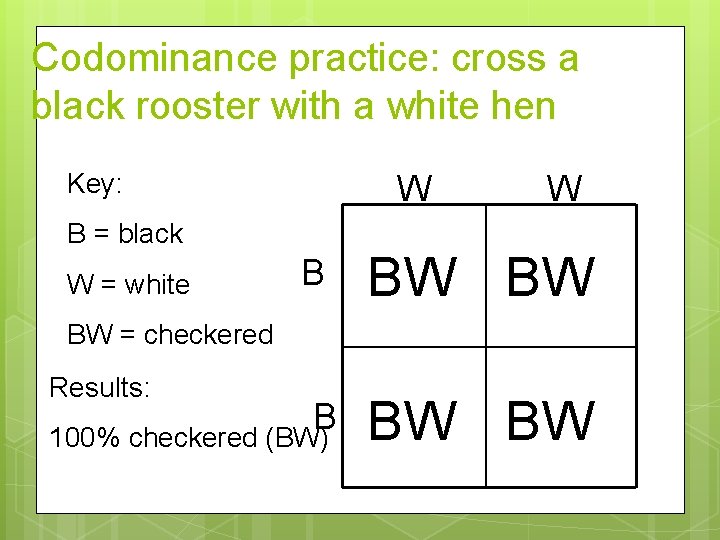 Dihybrid Punnett Squares What exactly is a dihybrid