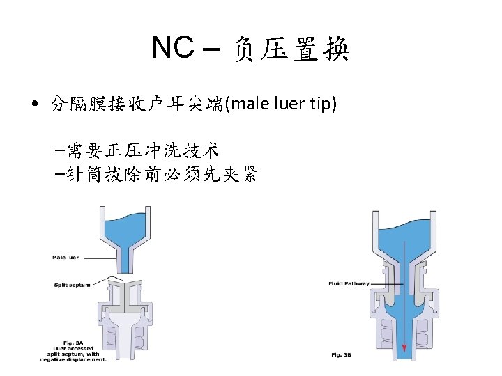 Impact of Primary BSI Pathophysiology of Catheter Related