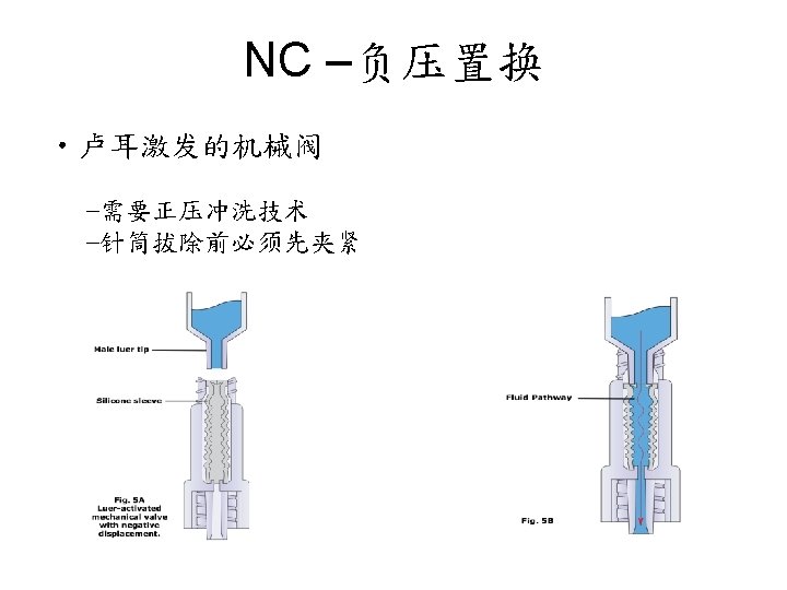 Impact of Primary BSI Pathophysiology of Catheter Related