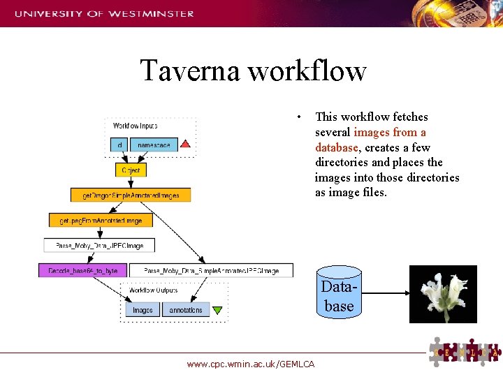 Enabling the execution of various workflows Kepler Taverna