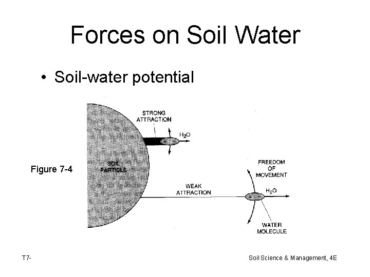 Chapter 7 Soil Water T 7 Soil Science