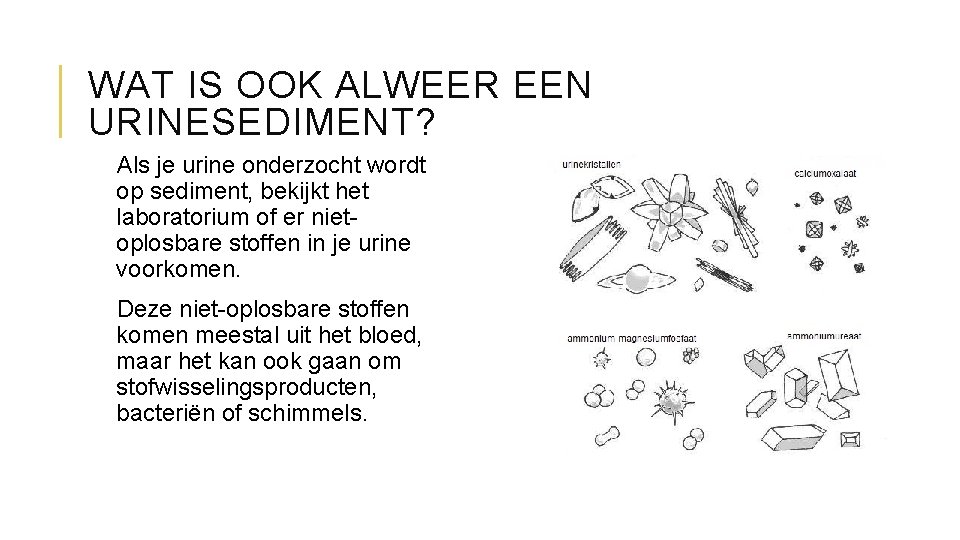 LABORATORIUMWERK Urinesediment wat zit er allemaal in en