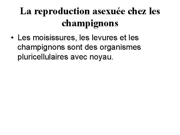 La reproductio asexue Les Bactries Reproduction asexue chez