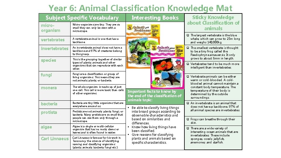 Year 6 Circulatory System Knowledge Mat Subject Specific