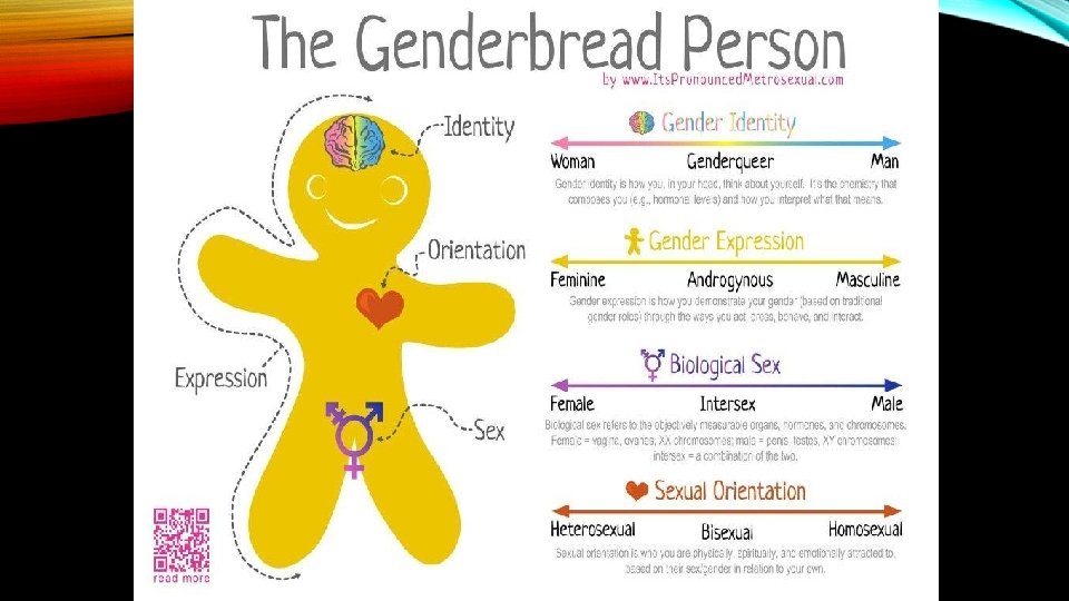 OVERVIEW OF TRANSGENDER HEALTH CARE Ward Carpenter MD