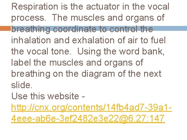 YOUR BODY DURING THE SINGING PROCESS Your names