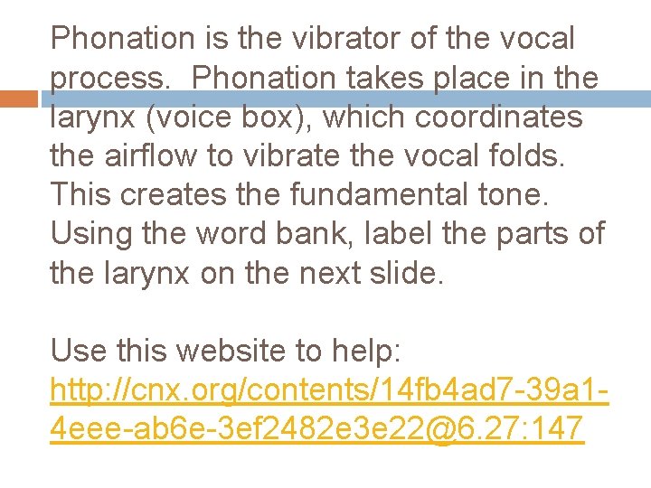 YOUR BODY DURING THE SINGING PROCESS Your names