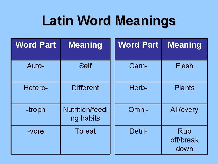 Energy Flow Latin Word Meanings Word Part Meaning
