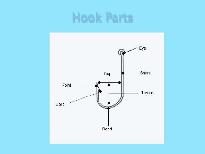 Sport Fishing Equipment and Supplies Terms Bait Sinker