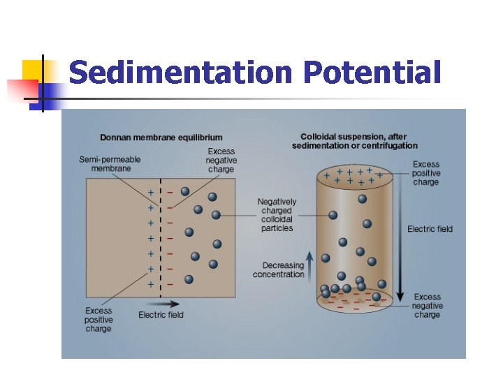 Electric Properties Of Colloids n n Particles dispersed