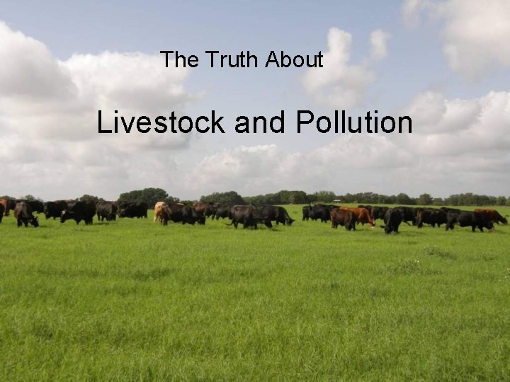 The Truth About Livestock and Pollution Livestock Operations