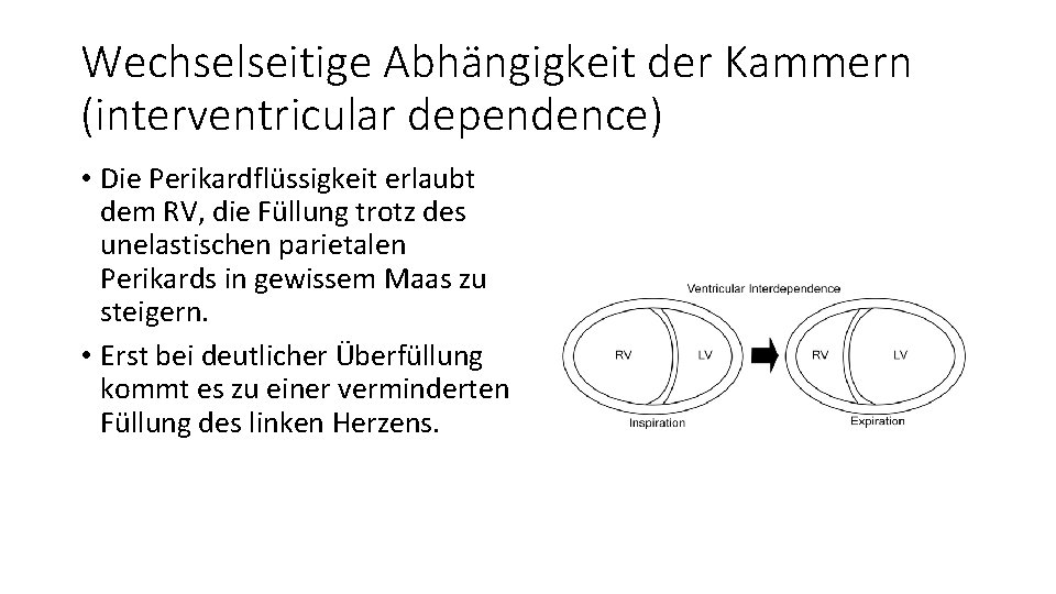 Tamponade Wechselseitige Abhngigkeit der Kammern interventricular ...
