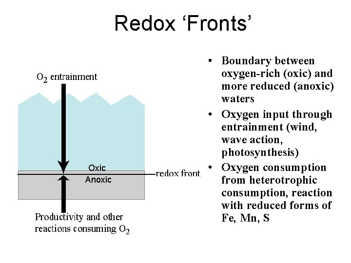 Microbes e flow Catabolism breakdown of any compound