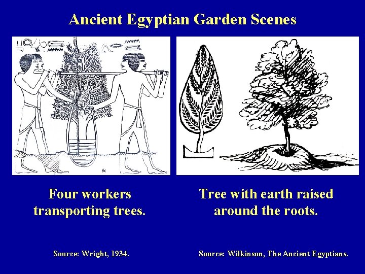 Ancient Egyptian Agriculture and the Origins of Horticulture