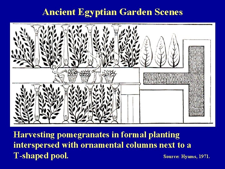 Ancient Egyptian Agriculture and the Origins of Horticulture