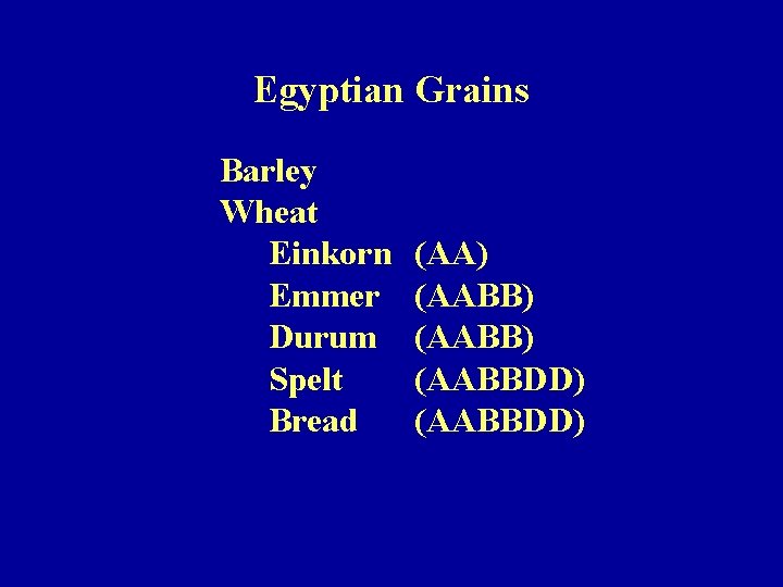 Ancient Egyptian Agriculture and the Origins of Horticulture