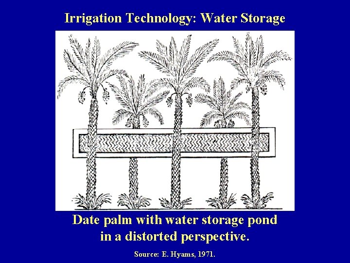Ancient Egyptian Agriculture and the Origins of Horticulture