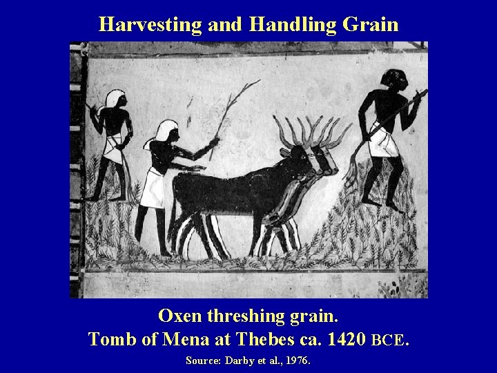Ancient Egyptian Agriculture and the Origins of Horticulture