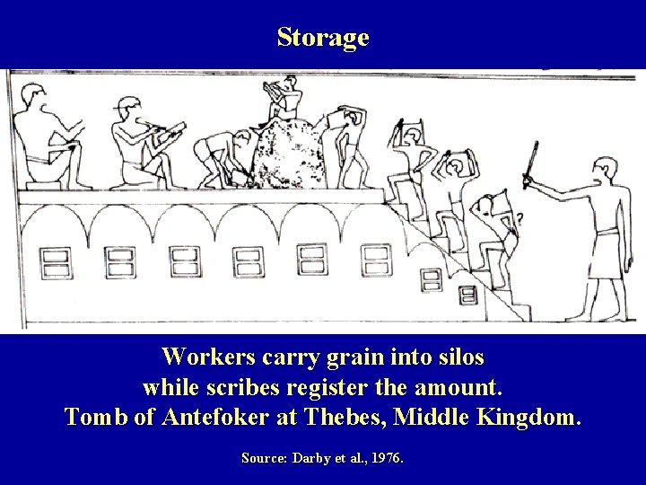 Ancient Egyptian Agriculture and the Origins of Horticulture