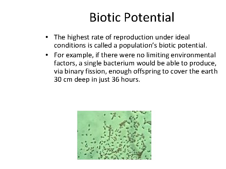 Ecology Populations Unit 9 Part 1 Populations A