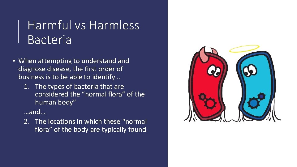 Pathogenicity With Scientist Cindy What Causes Disease By