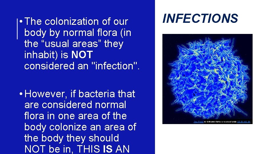 Pathogenicity With Scientist Cindy What Causes Disease By