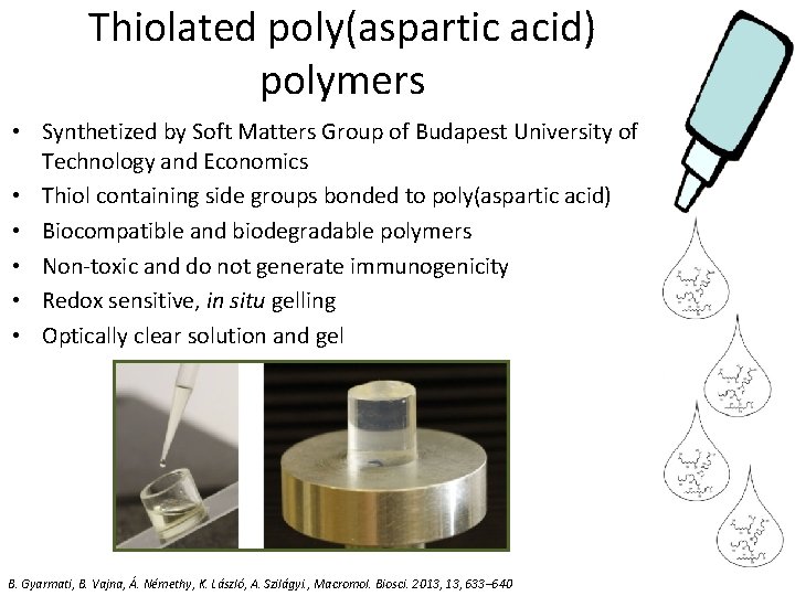 Thiolated polyaspartic acid polymers in ophthalmic therapy Gabriella